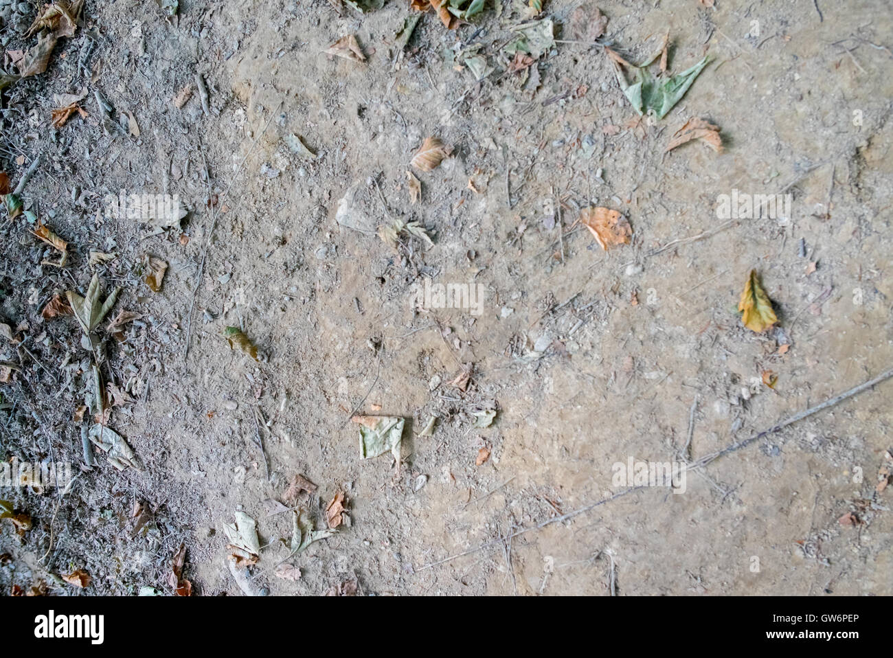 Soil leaves ground hi-res stock photography and images - Alamy
