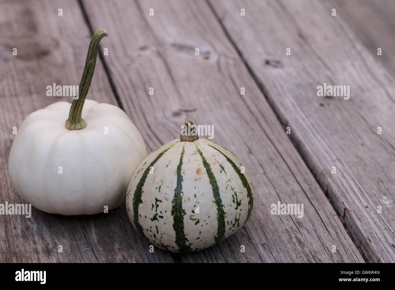 White Casper pumpkin next to a green and white gourd on a rustic wood ...