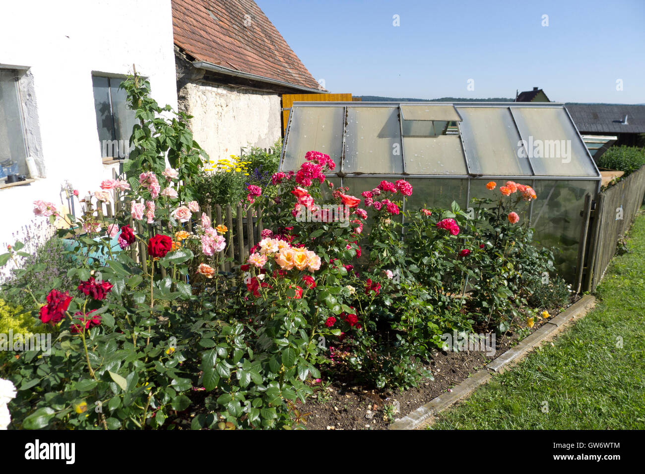 Rose garden at romantic Road in southern Germany Stock Photo - Alamy