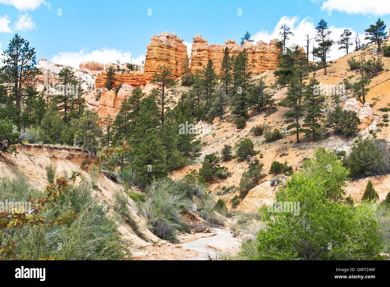 Bryce river canyon hi-res stock photography and images - Alamy