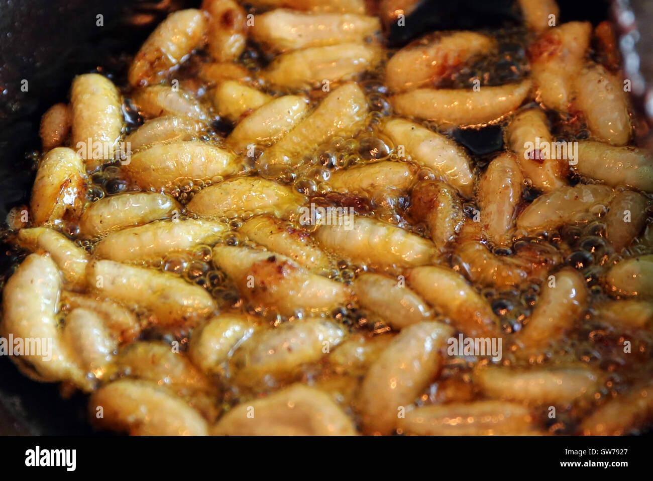 Fried pupa hi-res stock photography and images - Alamy