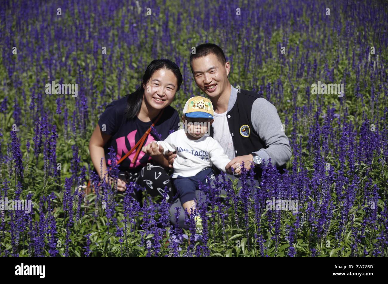 Heihe, Heihe, China. 13th Sep, 2016. Heihe, CHINA-?September 11 2016 ...