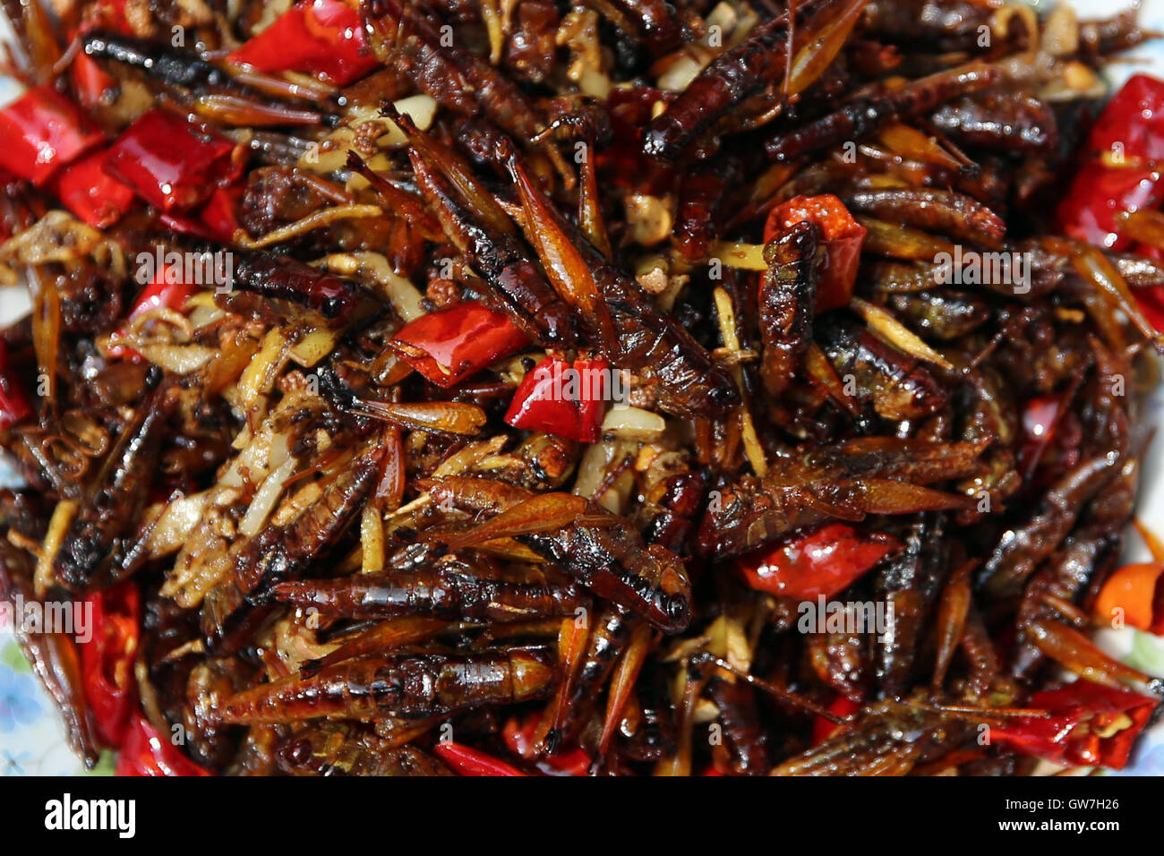 China. 13th Sep, 2016. Guizhou, CHINA-?September 11 2016:?(EDITORIAL ...