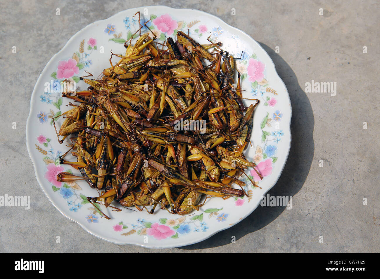 China. 13th Sep, 2016. Guizhou, CHINA-?September 11 2016:?(EDITORIAL ...