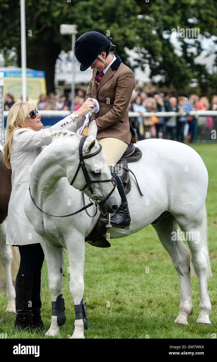 Olympic-level equestrian event with competing riders from UK, Europe ...