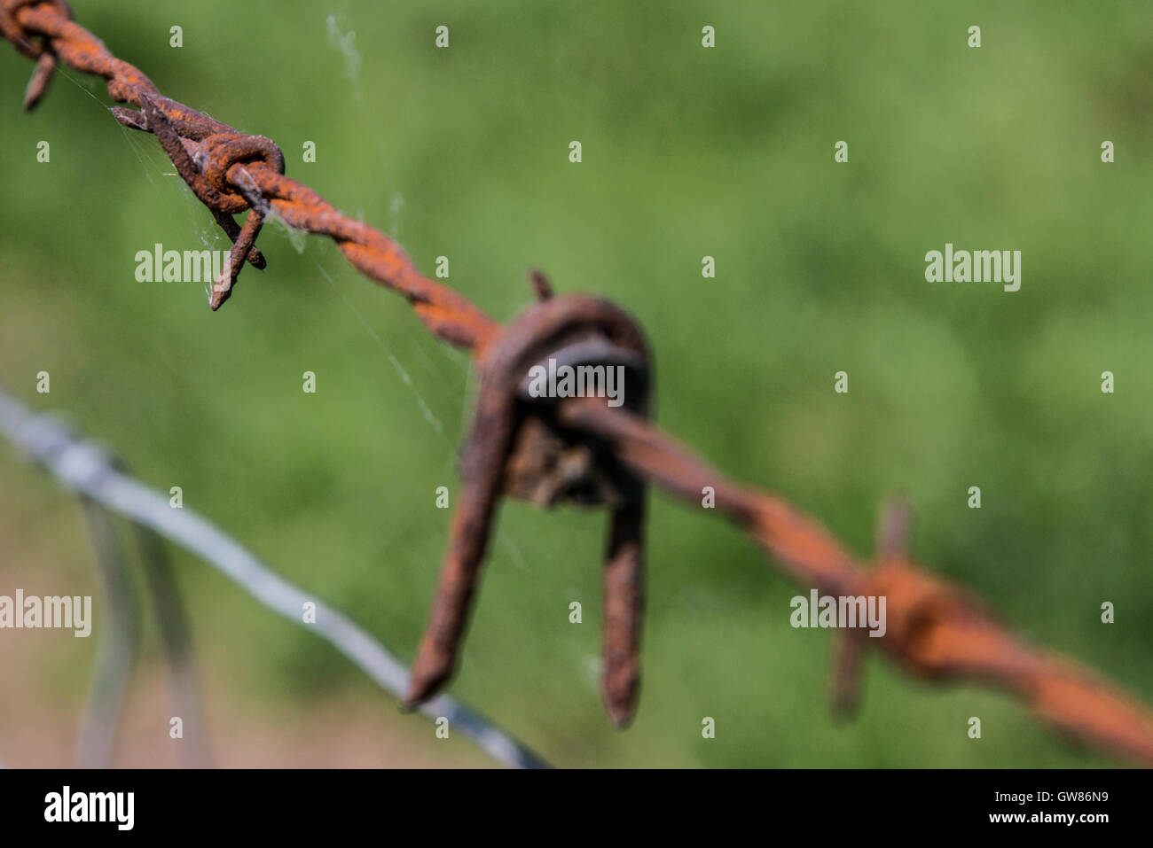 Rusty barbed wire Stock Photo - Alamy