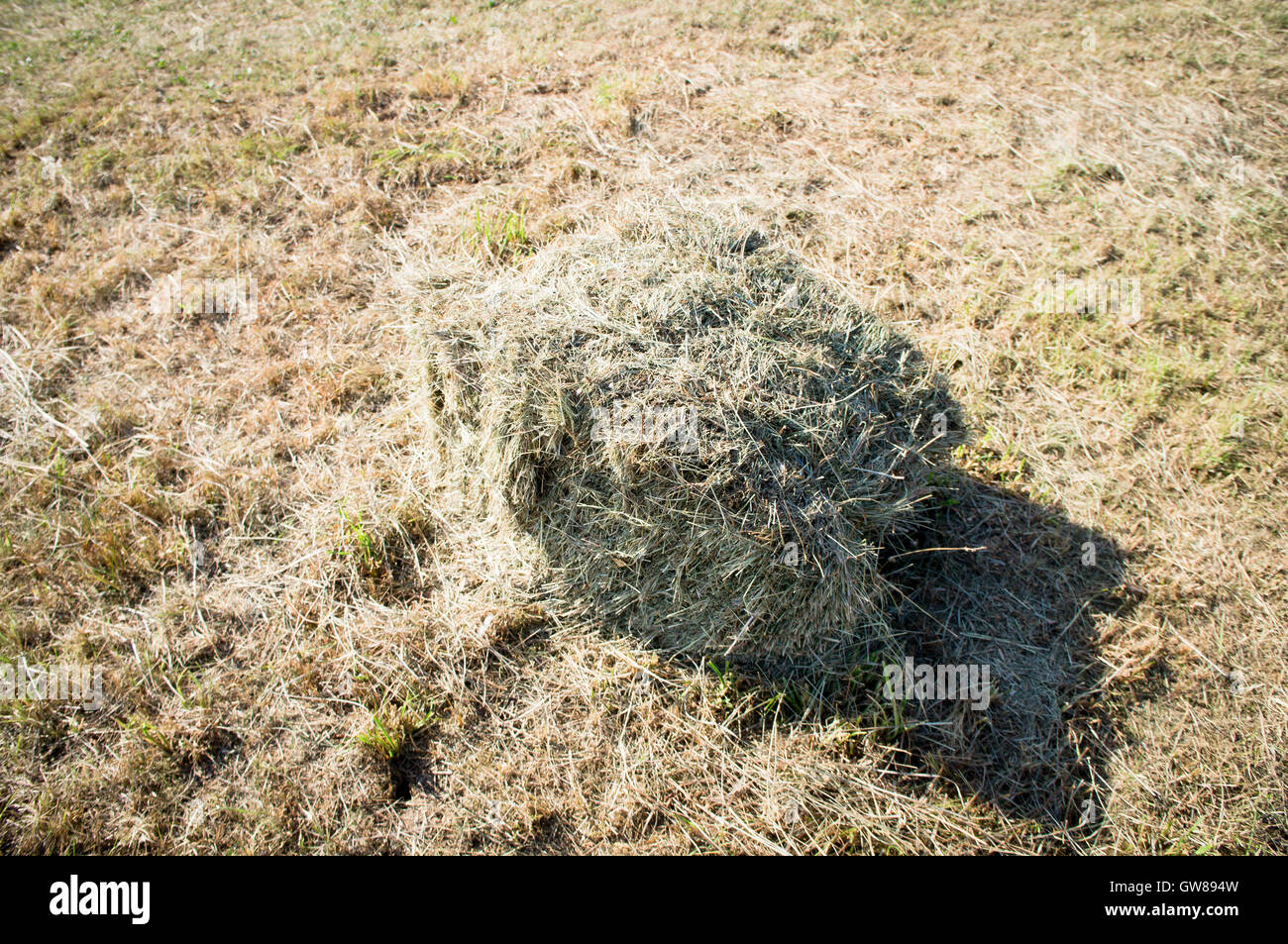 hay pack bale, second hay crop, cut dried grass Stock Photo - Alamy