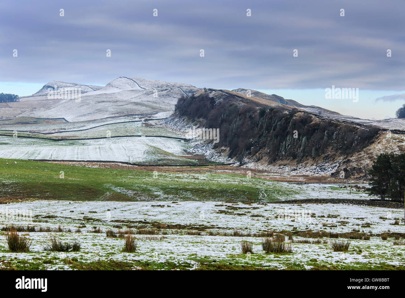 Looking east towards Cawfield Crags, from near Aesica (Great Chesters ...