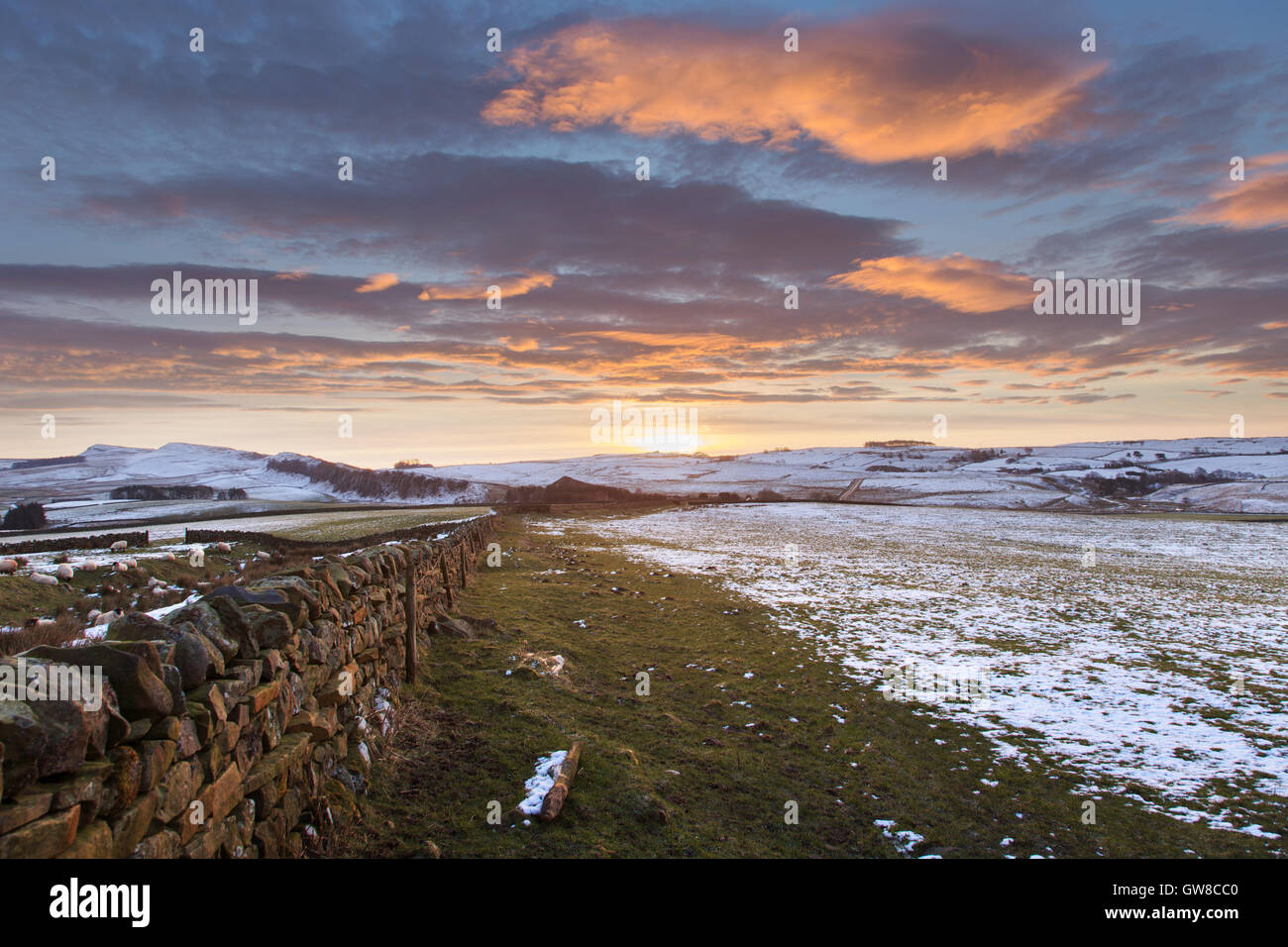 Looking east in winter along the course of Hadrian's Wall, near Aesica ...