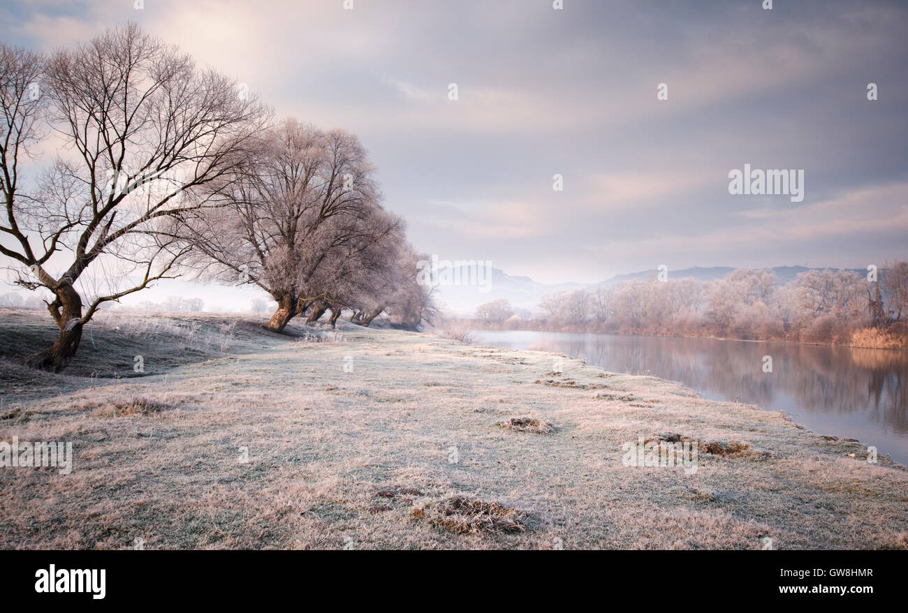 Mist winter morning hi-res stock photography and images - Alamy