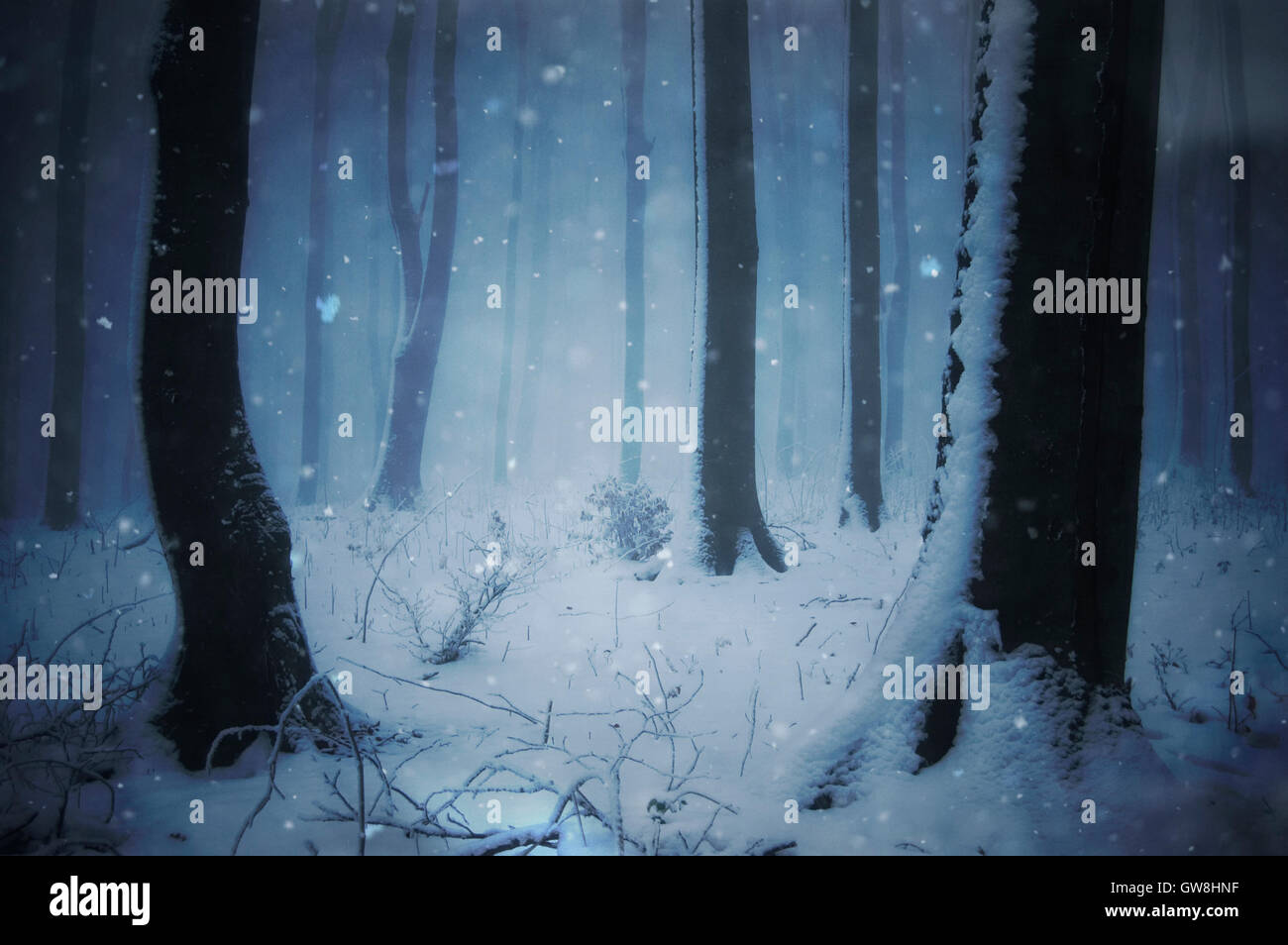 Night forest snow flakes hi-res stock photography and images - Alamy