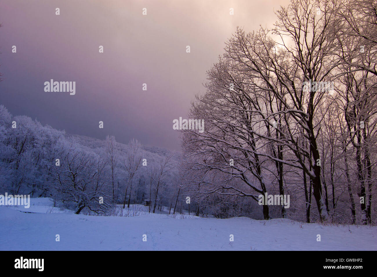 Snow sunset trees hi-res stock photography and images - Alamy