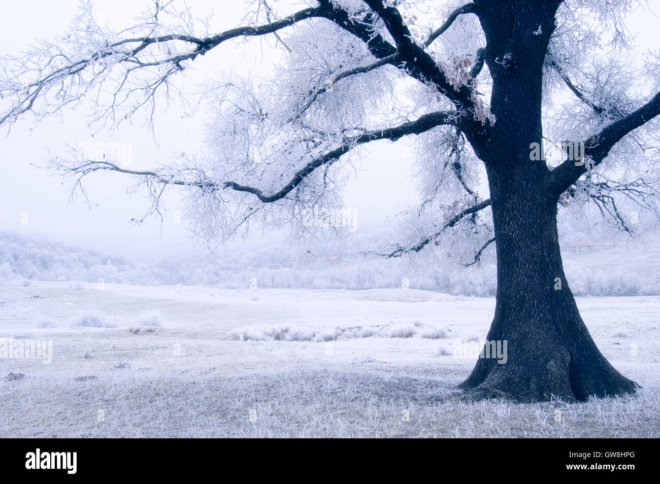 Frozen atmosphere hi-res stock photography and images - Alamy