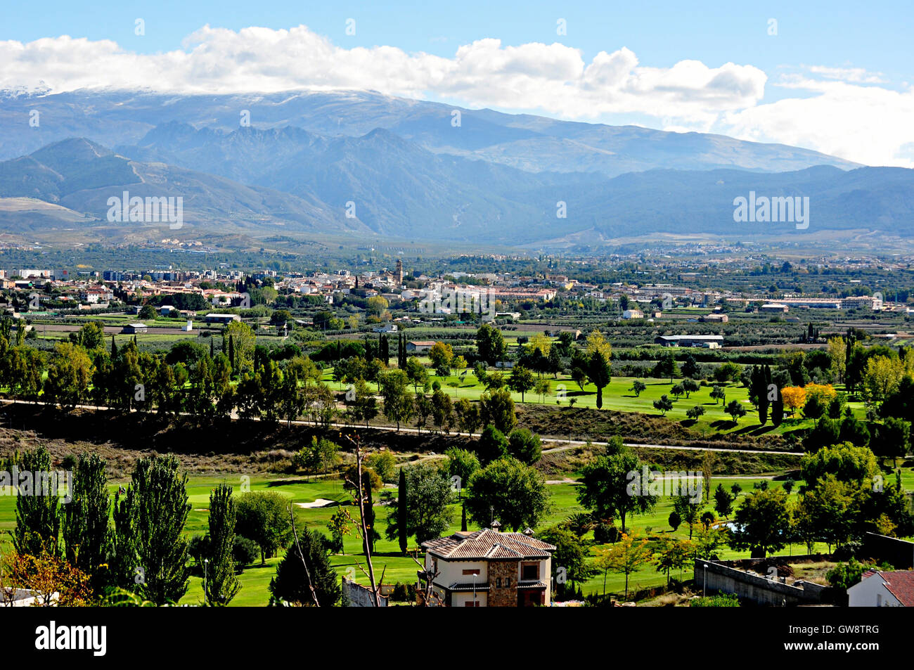golf field background Stock Photo - Alamy