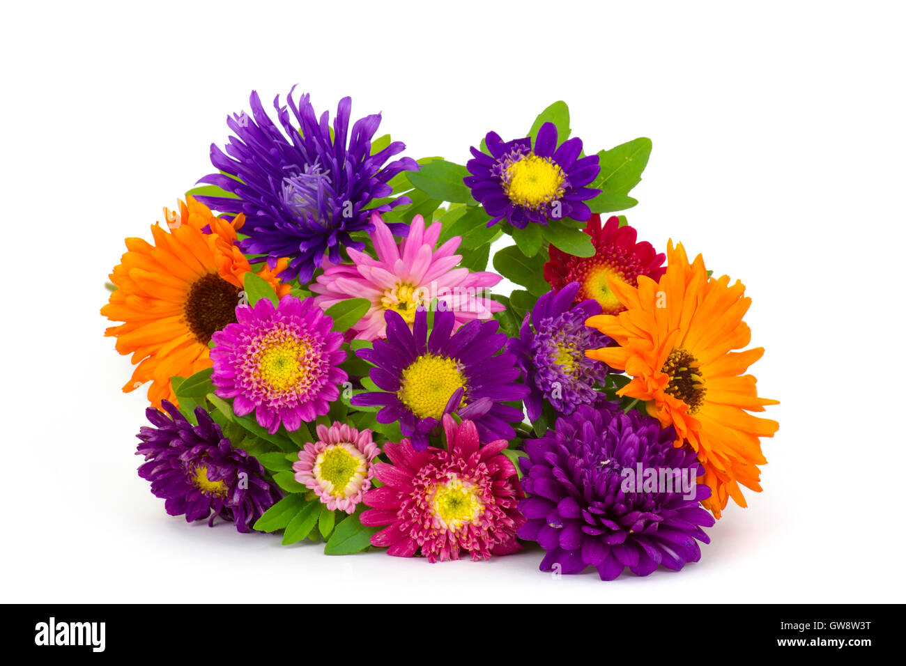 Bouquet of colorful asters flowers on white background Stock Photo - Alamy