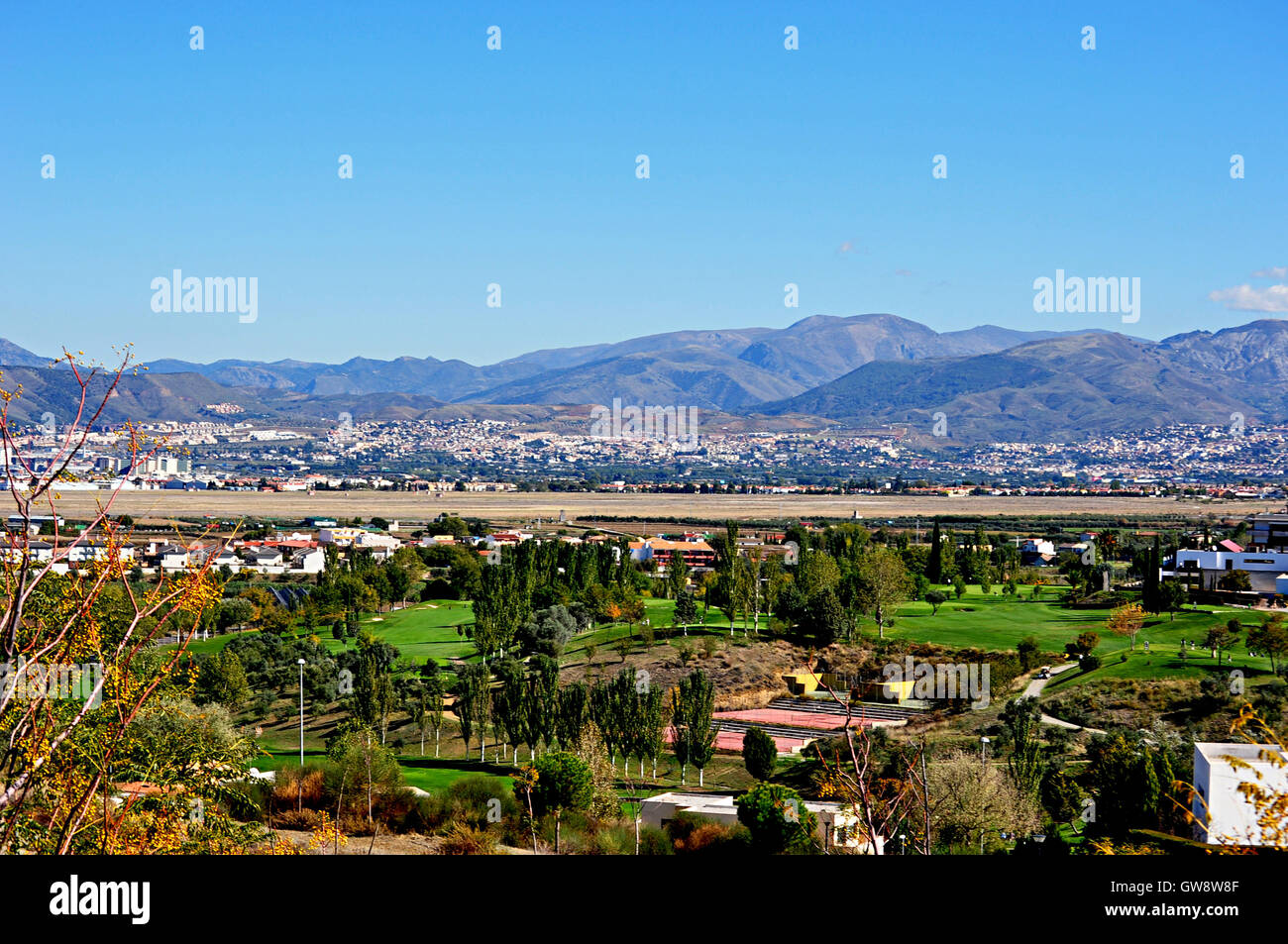 golf field background Stock Photo - Alamy