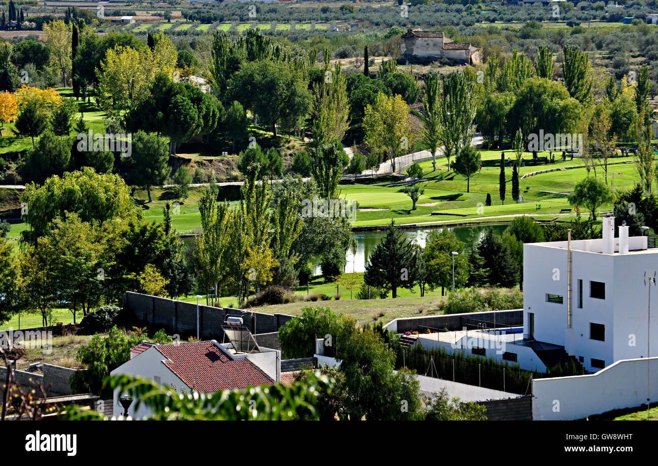 golf field background Stock Photo - Alamy