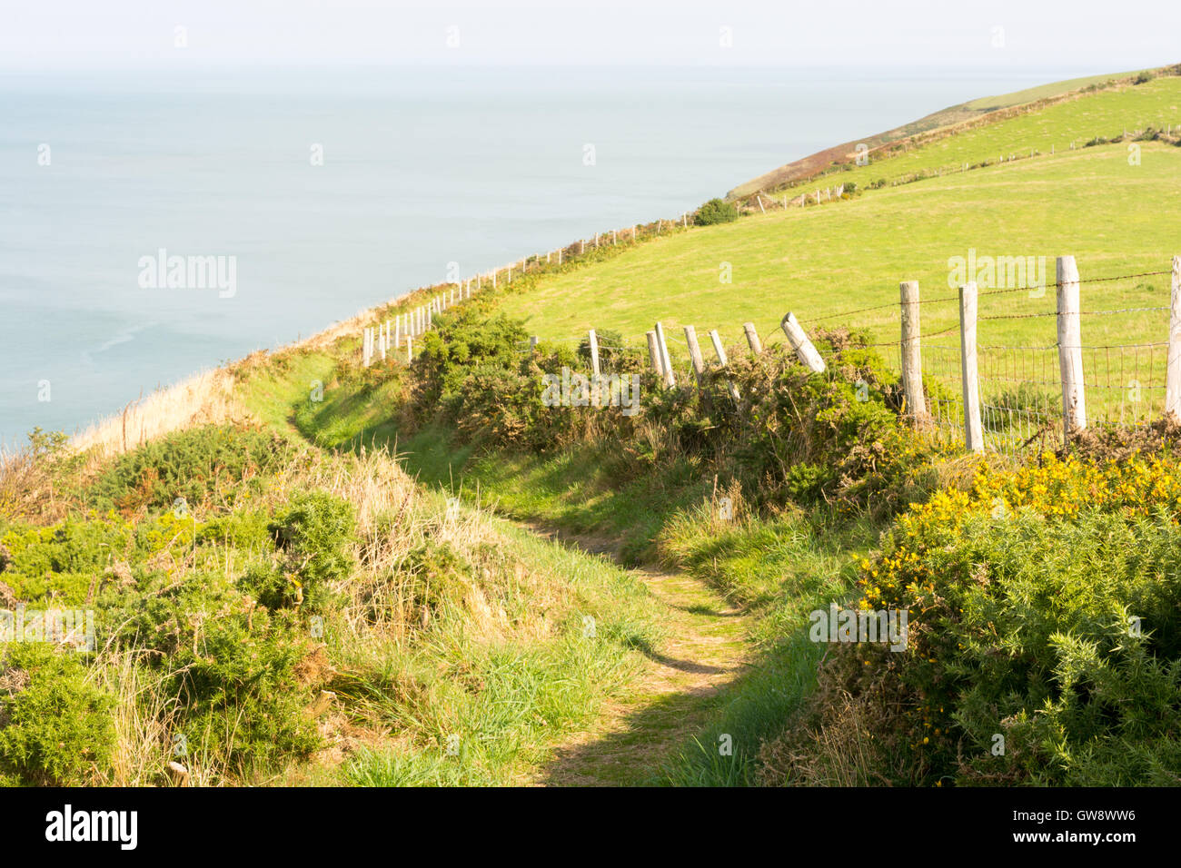 Winding coastal path through green fields on a summer's day Stock Photo ...