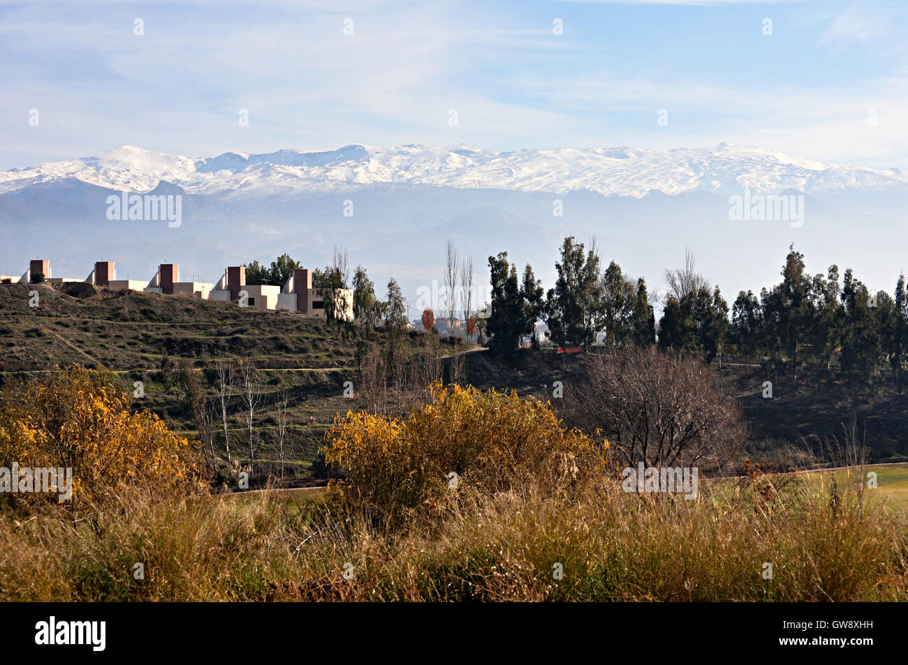 dry background and snow Stock Photo - Alamy