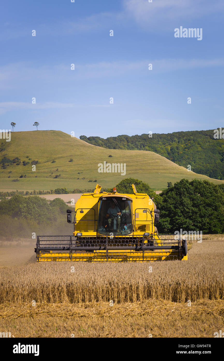 Cereal harvester hi-res stock photography and images - Alamy
