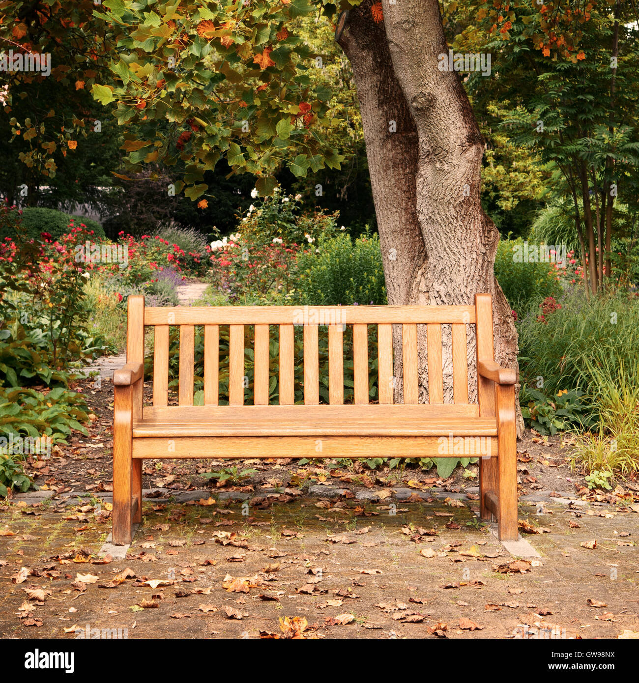 beautiful autumn park with paths and benches Stock Photo - Alamy