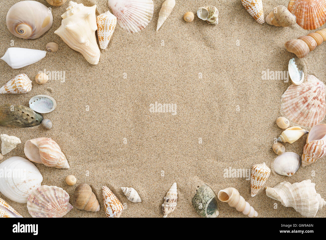Mussels in the sand Stock Photo - Alamy