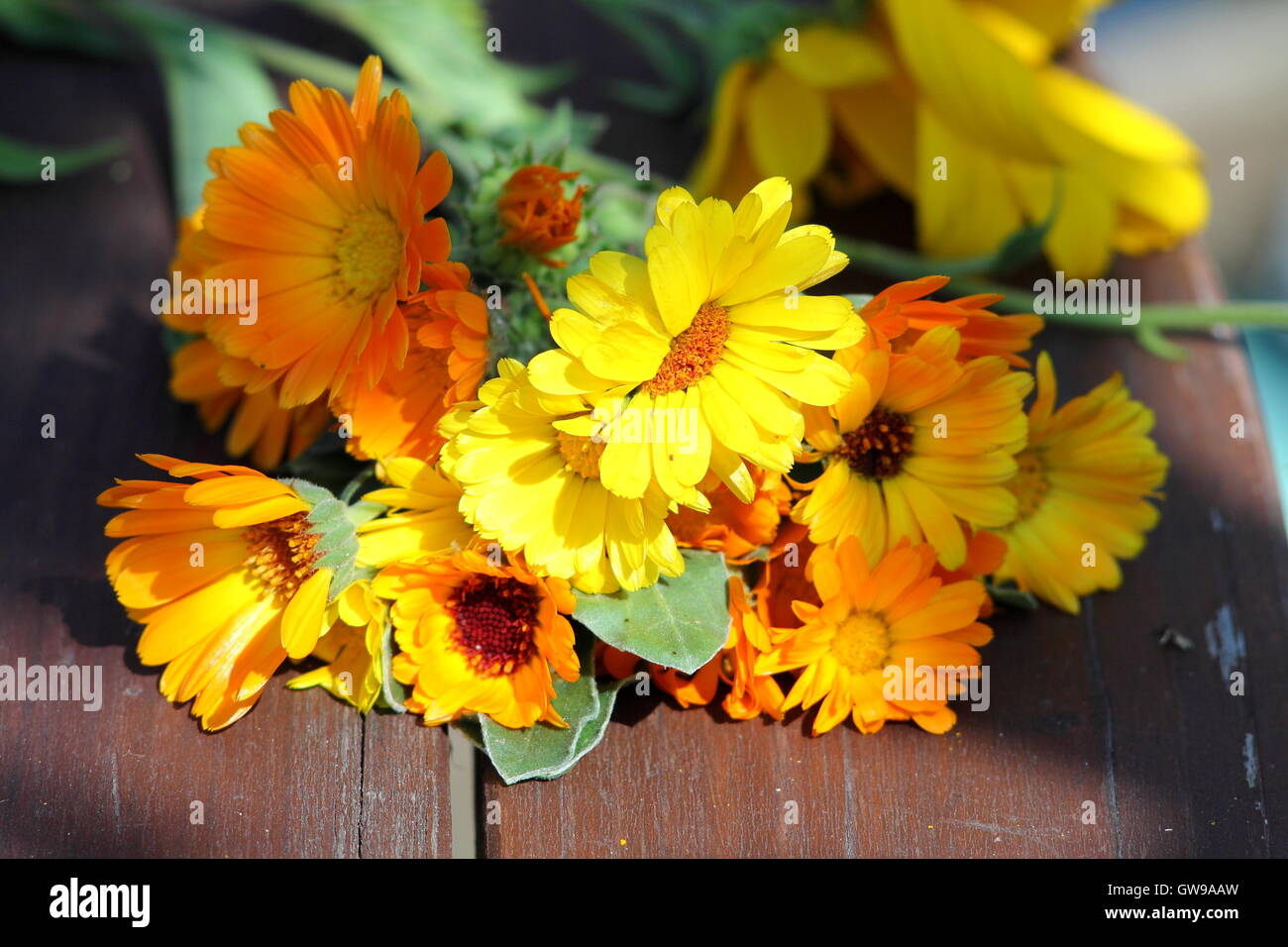 Edible plants bouquet hi-res stock photography and images - Alamy