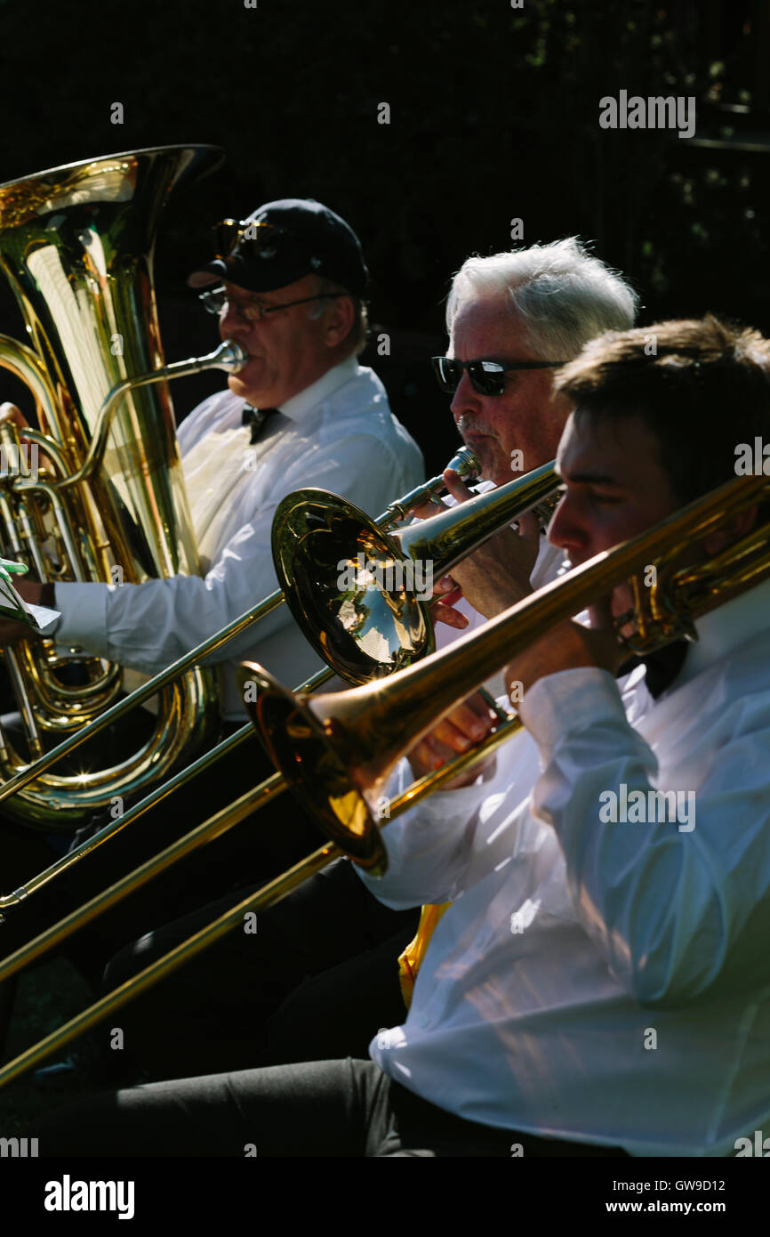 Section of brass band playing Stock Photo - Alamy