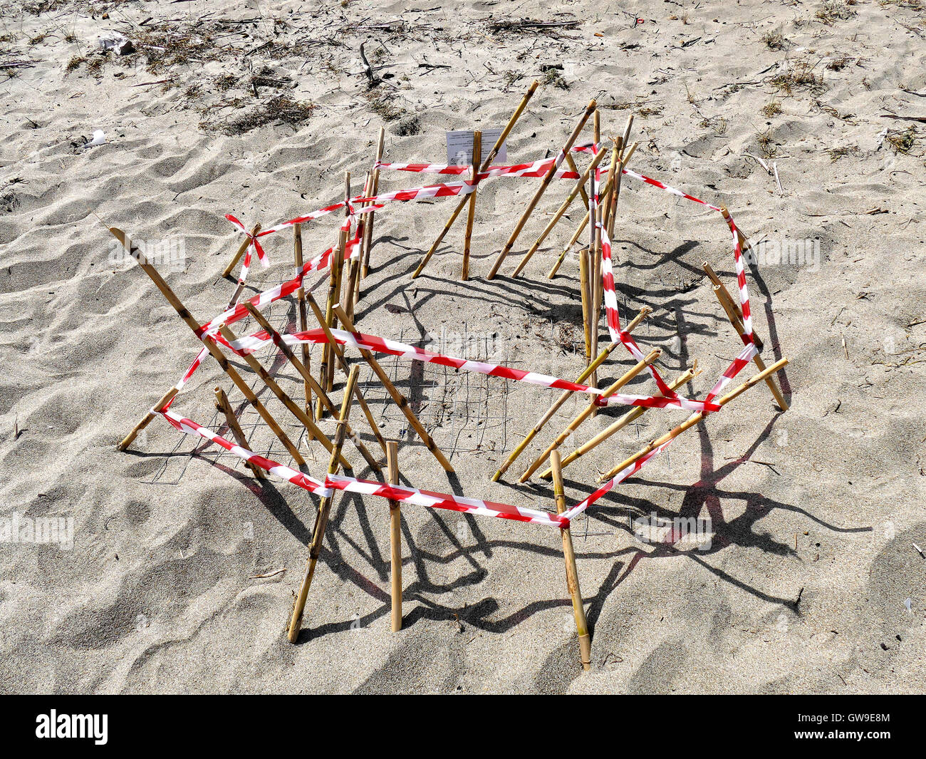 Sign turtles nesting hi-res stock photography and images - Alamy
