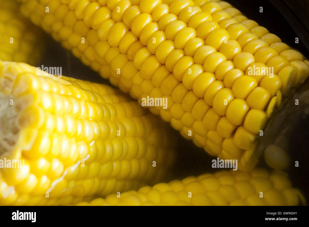 Water sweet corn hi-res stock photography and images - Alamy