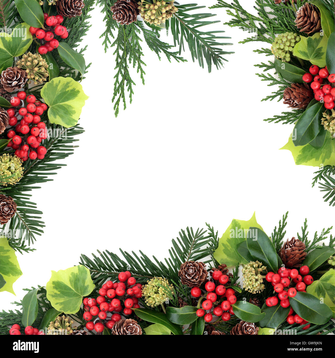 Winter and christmas background border with traditional european flora ...