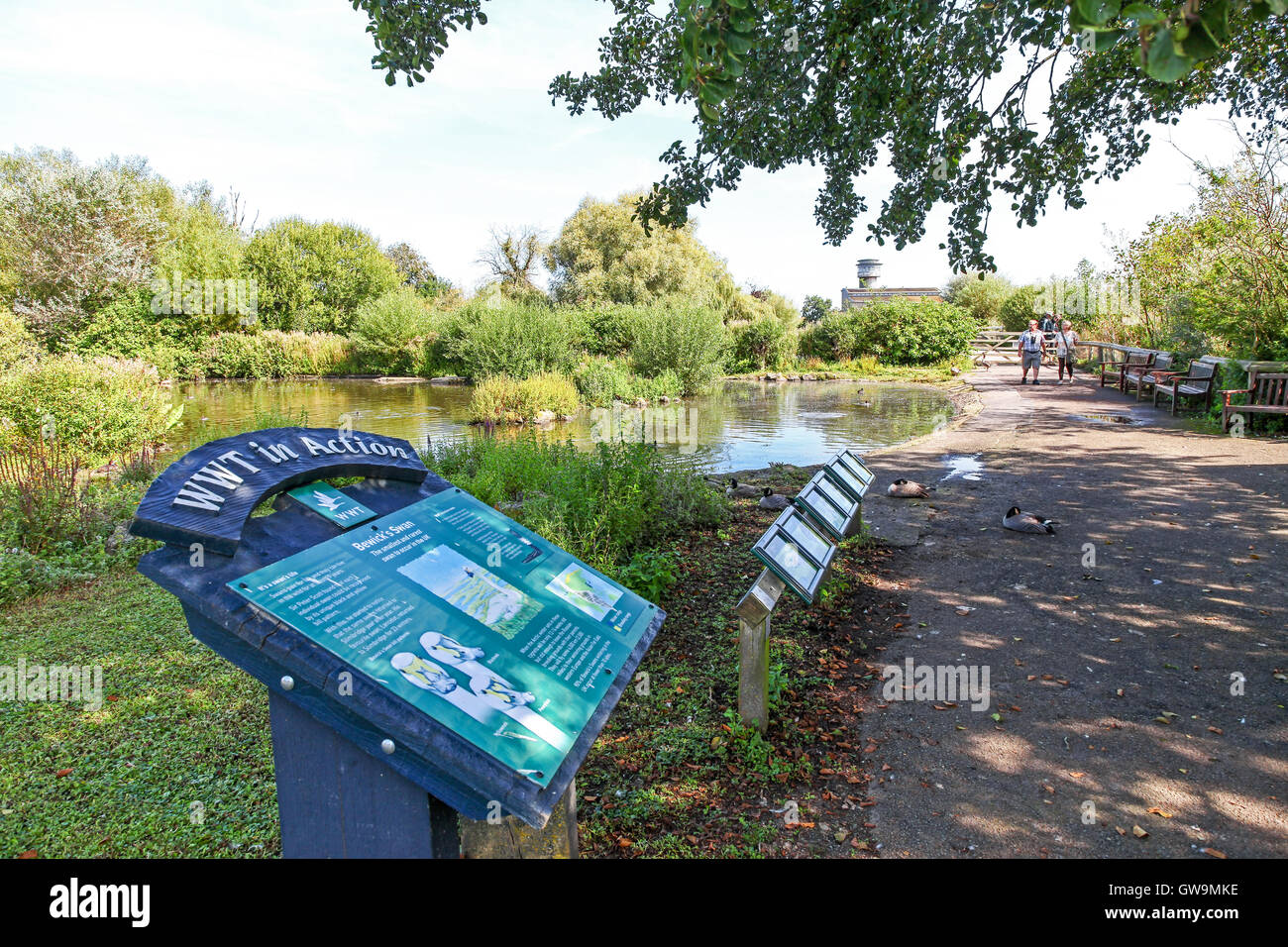 Slimbridge Wetland Centre Stock Photo - Alamy