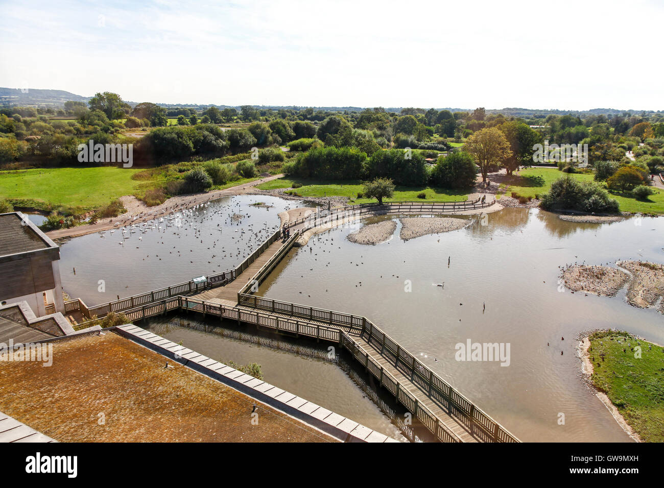 View from the top of the observatory tower over the wetlands at the ...
