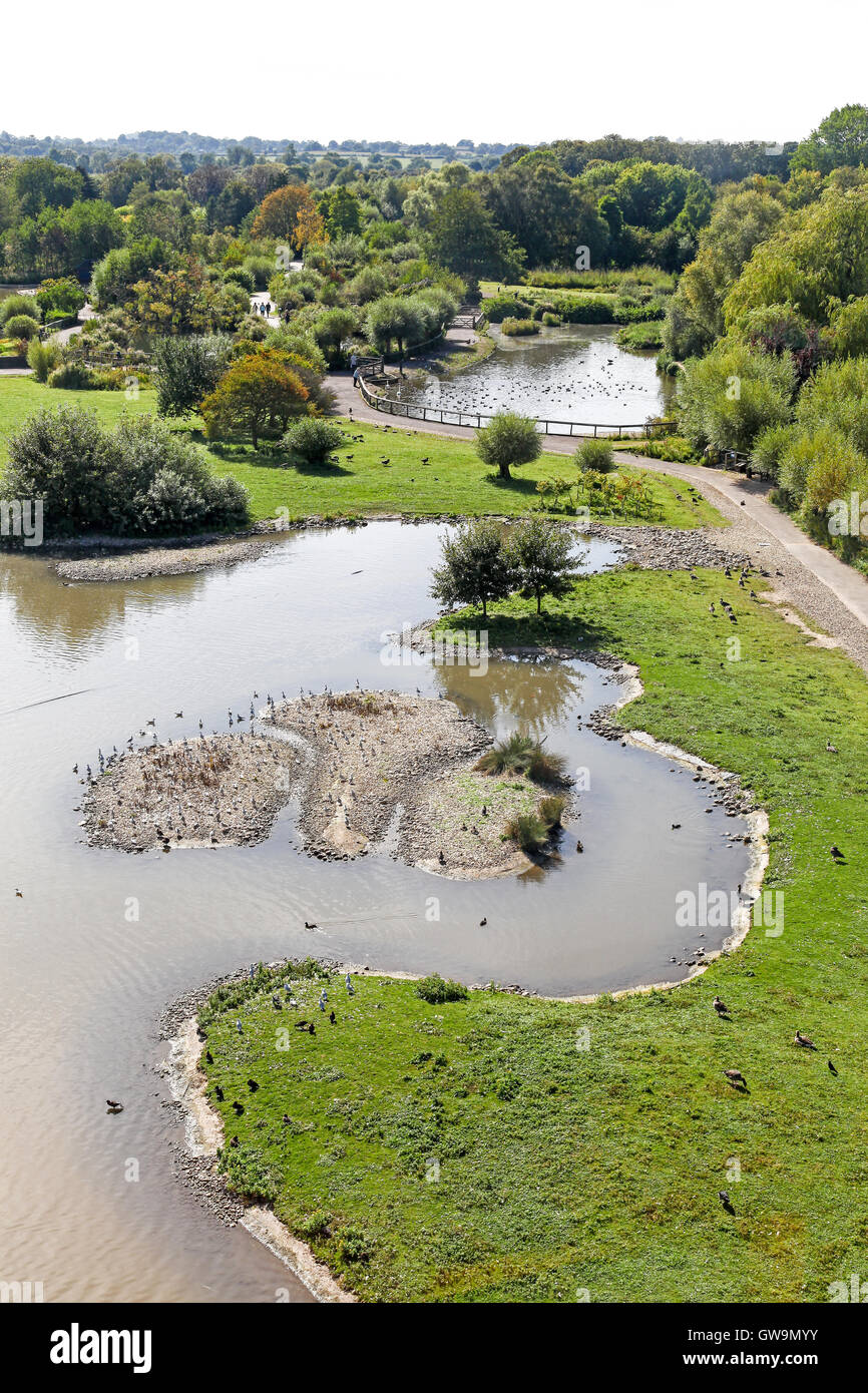 Slimbridge Wetland Centre Stock Photo - Alamy