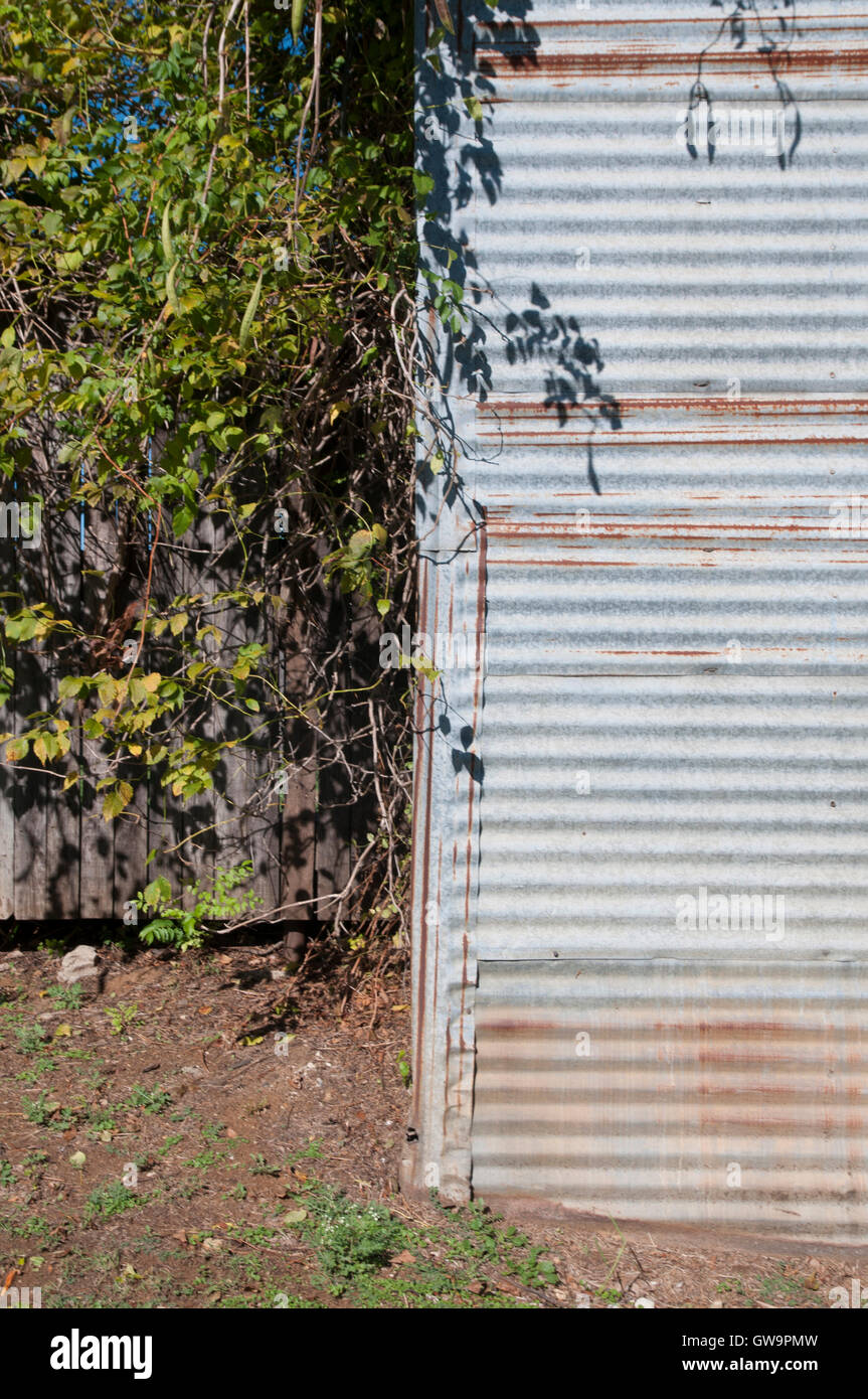 Edge of a corrugated iron building and bush Stock Photo - Alamy