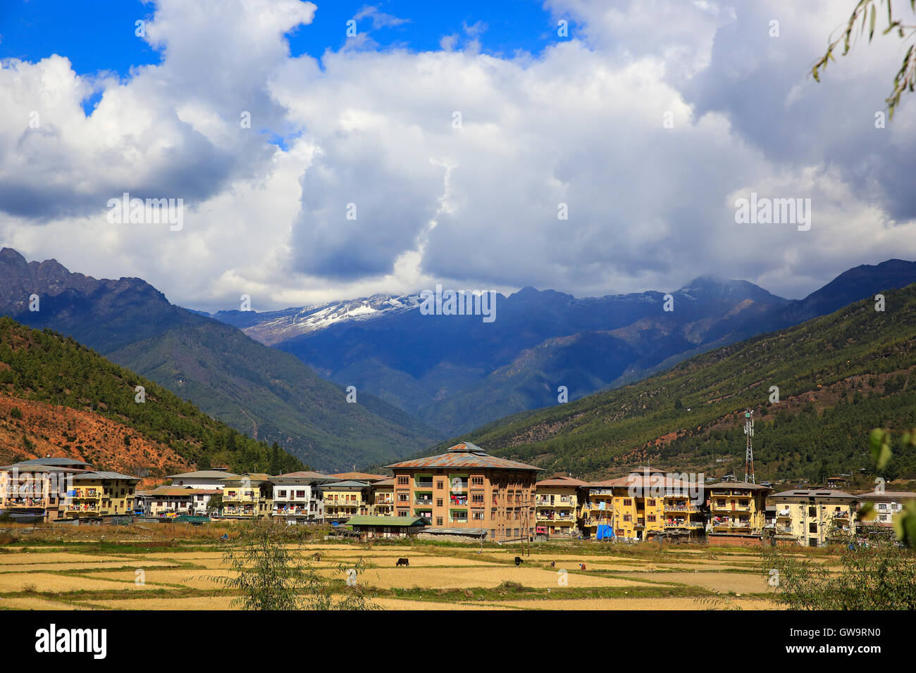 Paro city hi-res stock photography and images - Alamy