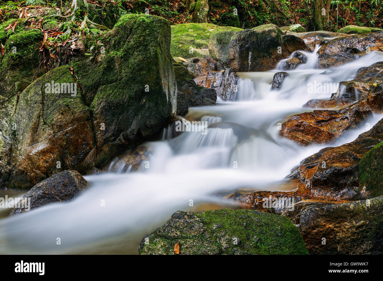 The streams of the Tekala Forest Reserve, Semenyih, Malaysia Stock ...