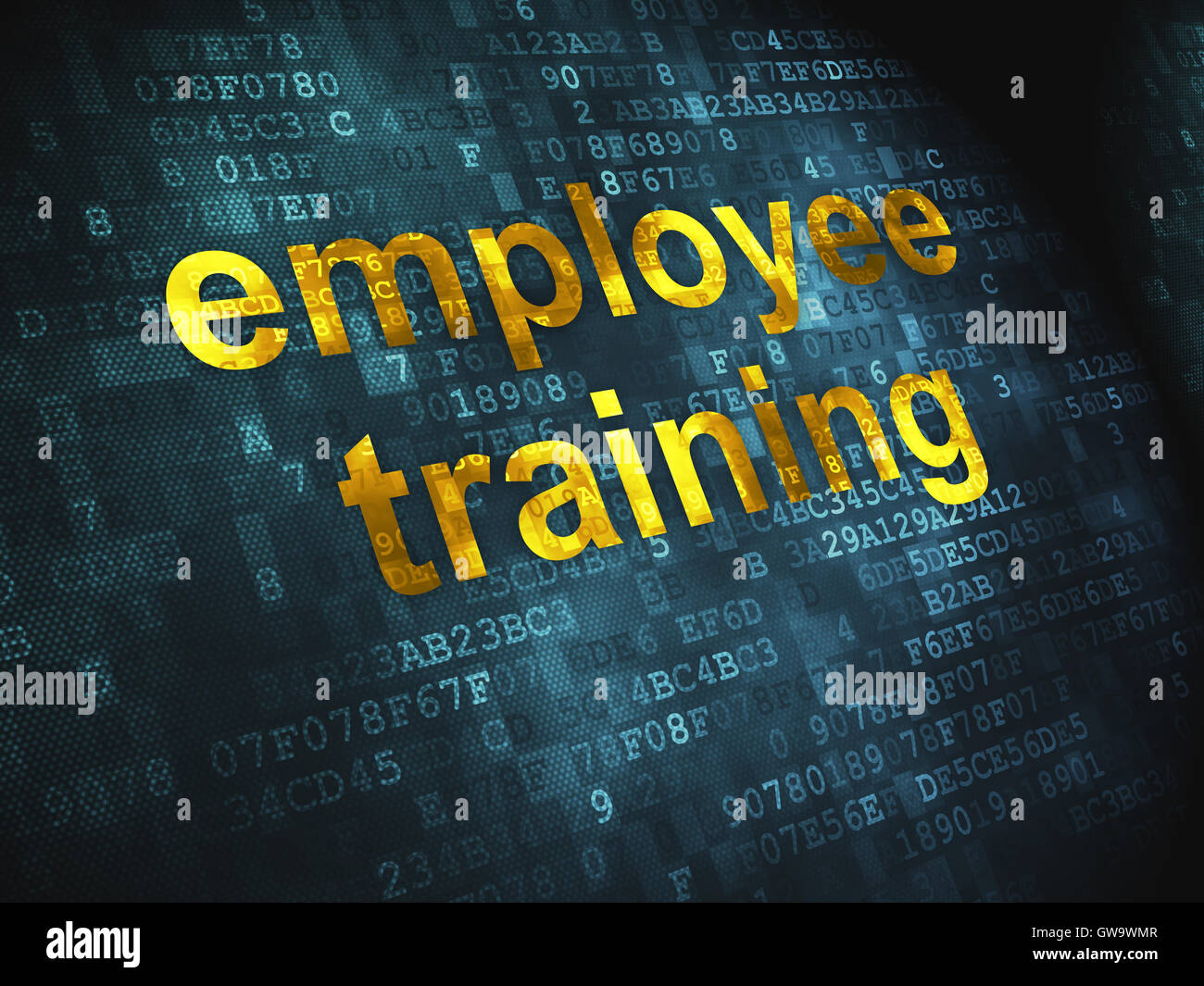 Education concept: Employee Training on digital background Stock Photo ...
