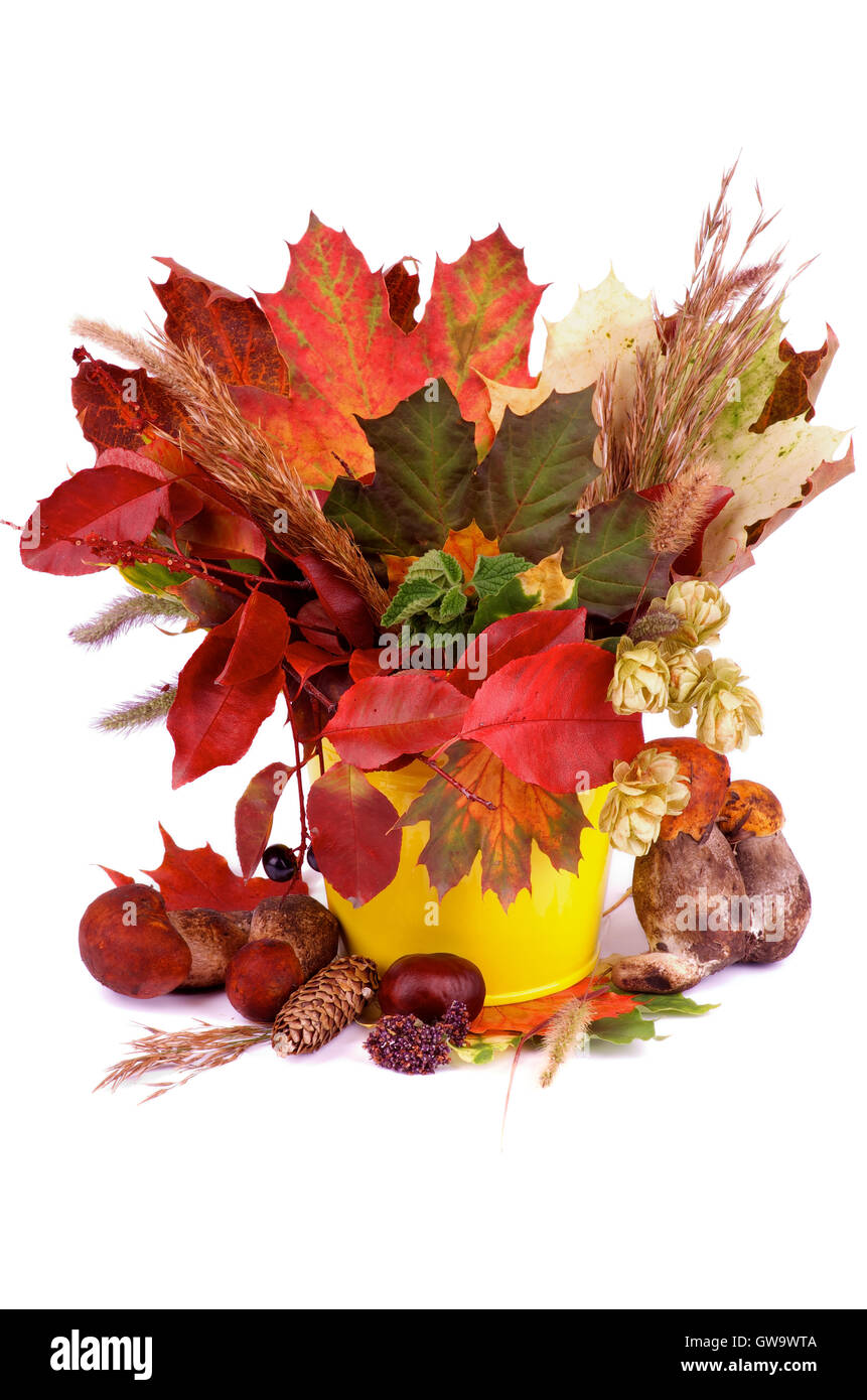 Overlapping autumn leaves hi-res stock photography and images - Alamy