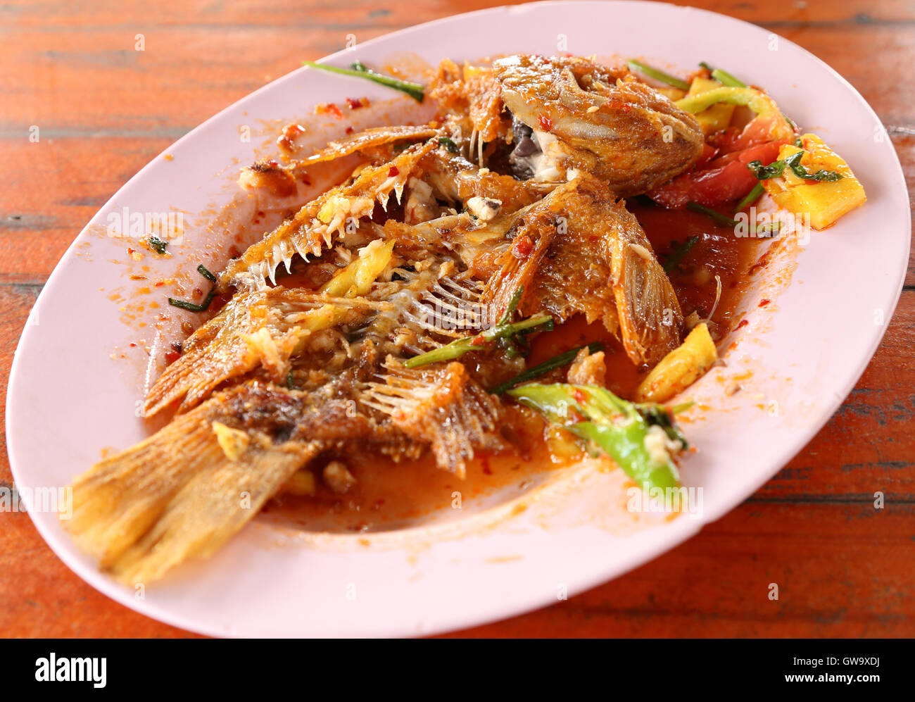 Sauer animal hi-res stock photography and images - Alamy