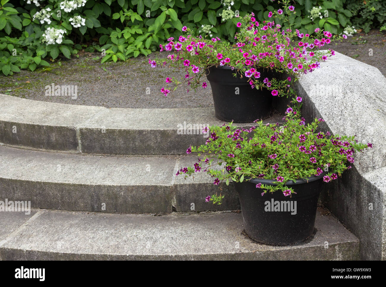 Stone steps decorated by flower pots Stock Photo - Alamy