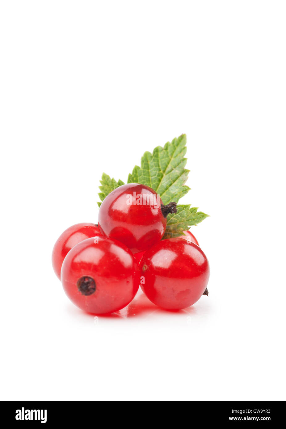 Red white currant sour Cut Out Stock Images & Pictures - Alamy