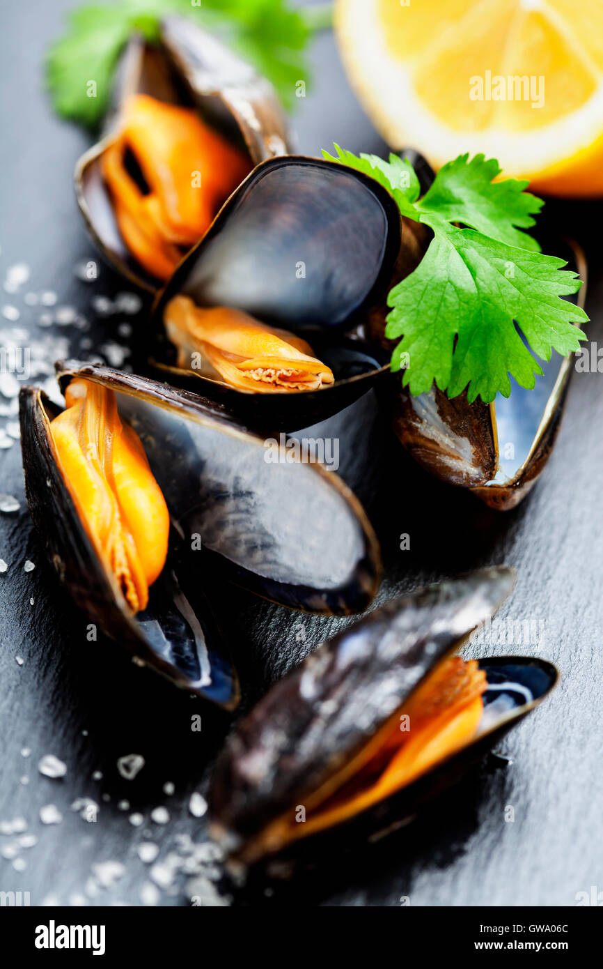 Open cooked mussels seafood hi-res stock photography and images - Alamy