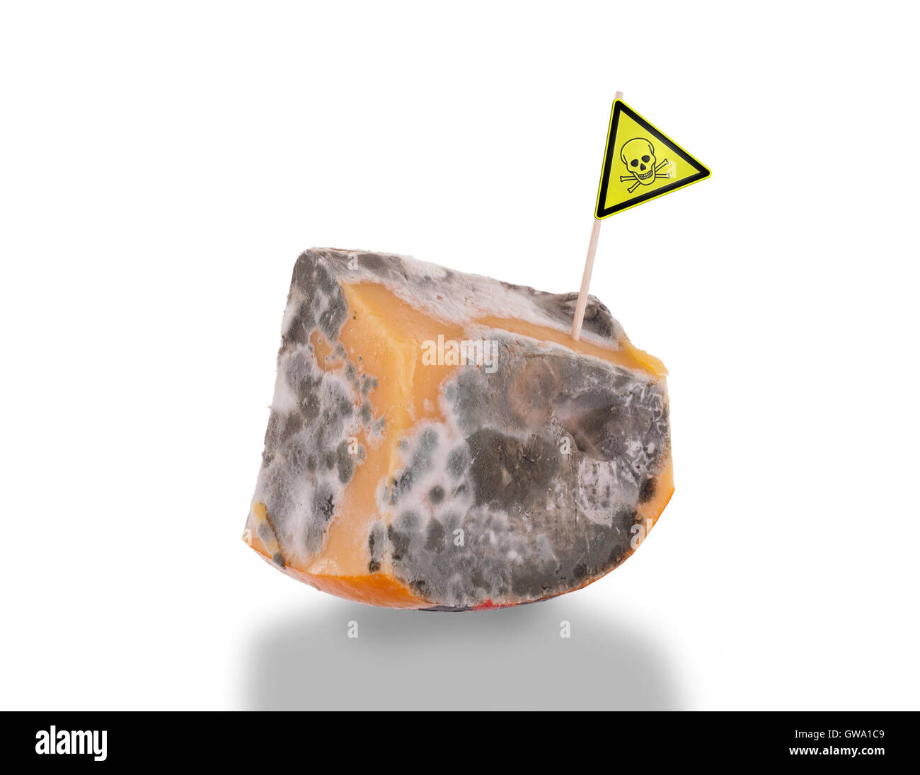 Poisonous cheese hi-res stock photography and images - Alamy