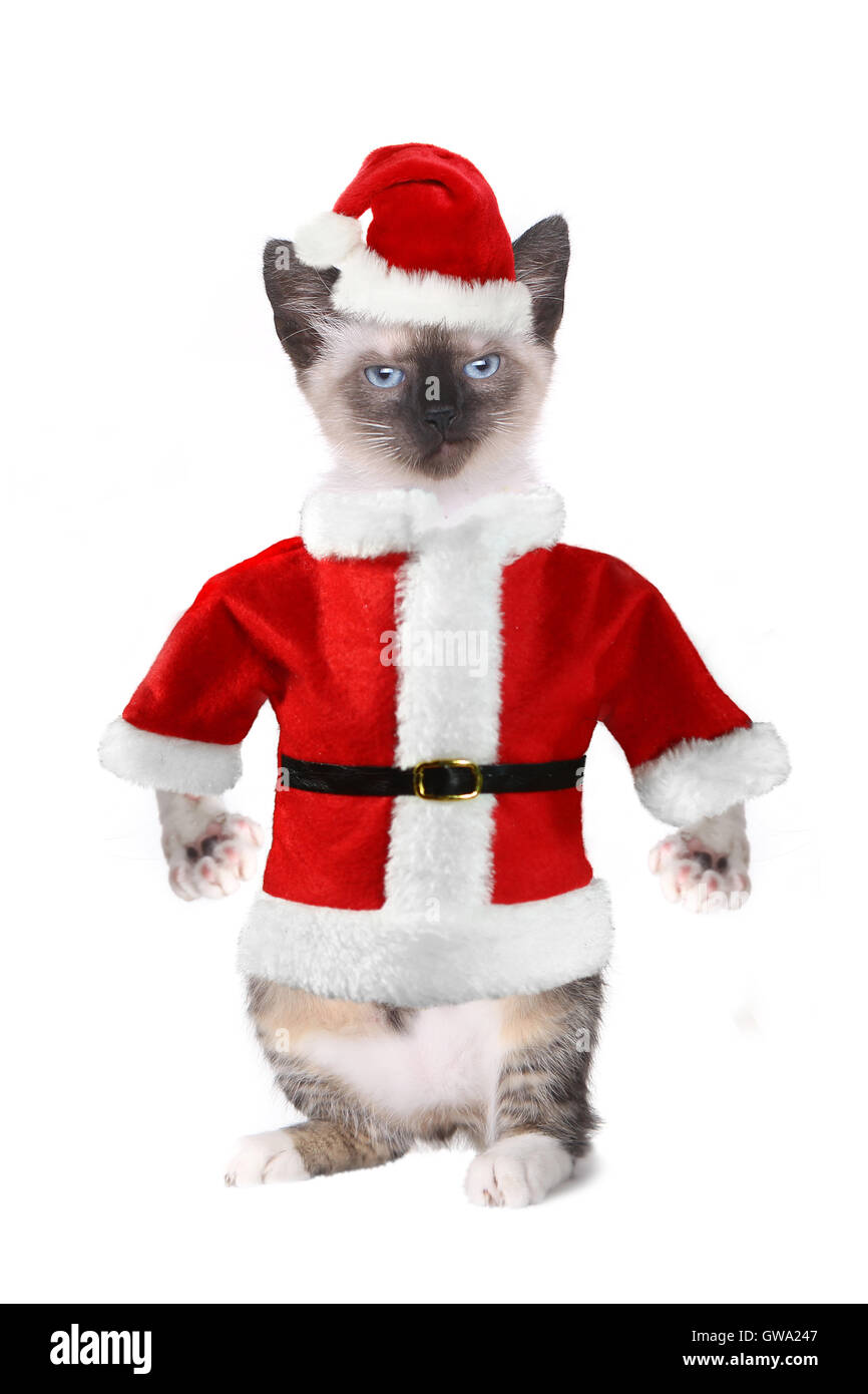 Mad santa claus hi-res stock photography and images - Alamy