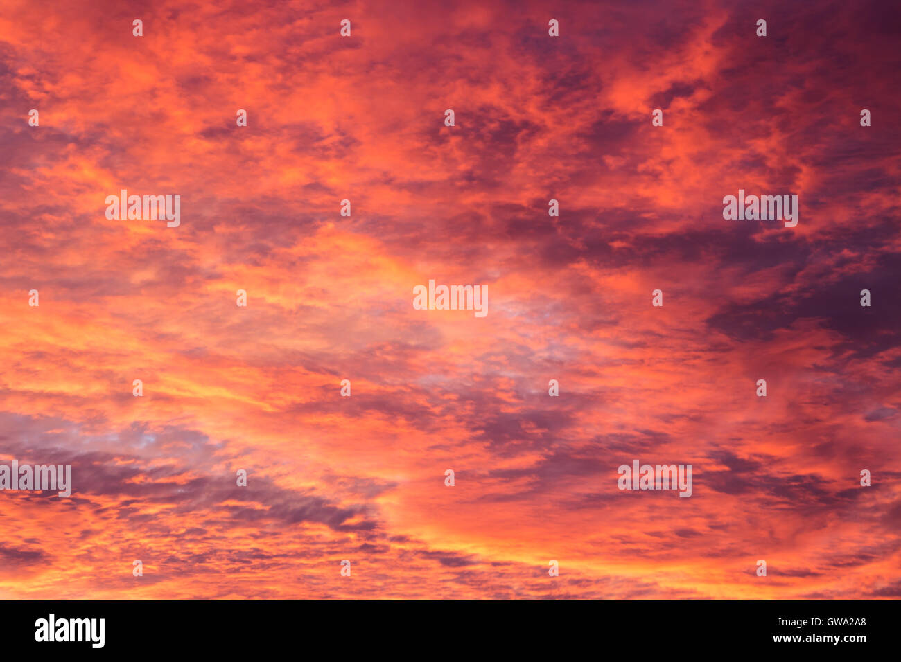 Red sunset sky Stock Photo - Alamy