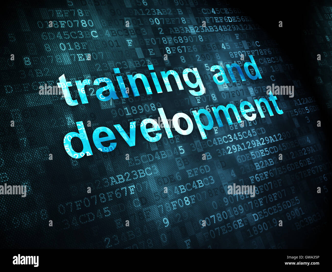 Education concept: Training and Development on digital backgroun Stock ...