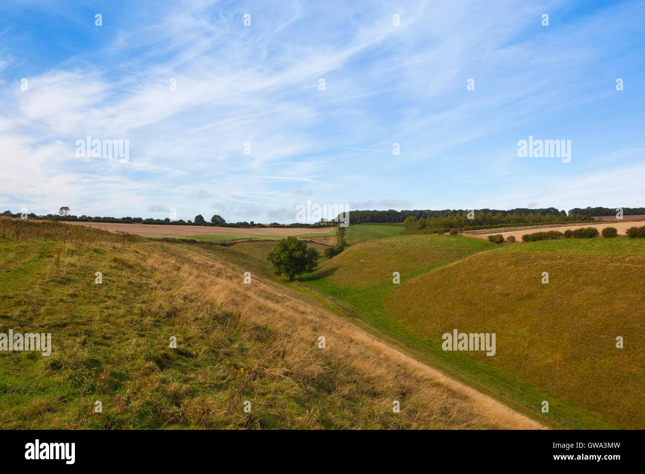 The grassy valley of Horsedale on the Yorkshire wolds under a cloudy ...