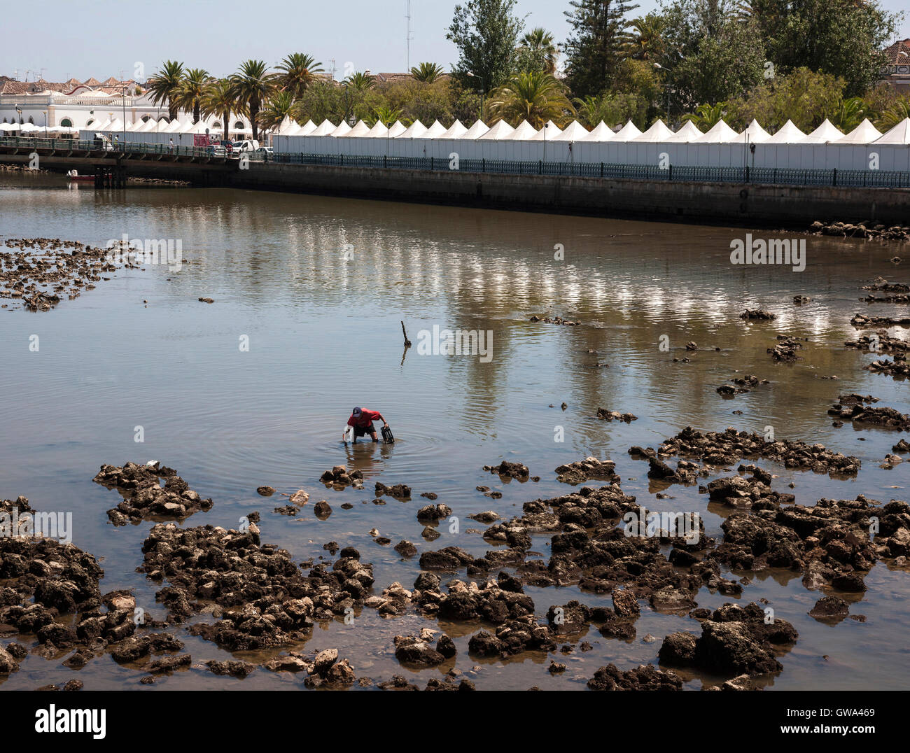 Tavira Algarve Portugal River Gilao Stock Photo - Alamy