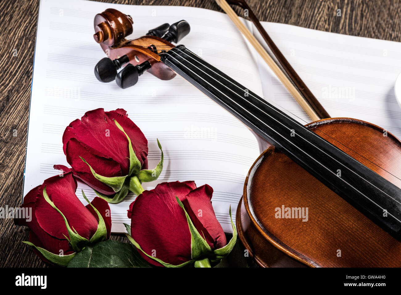 Old violin musical notes rose hi-res stock photography and images - Alamy